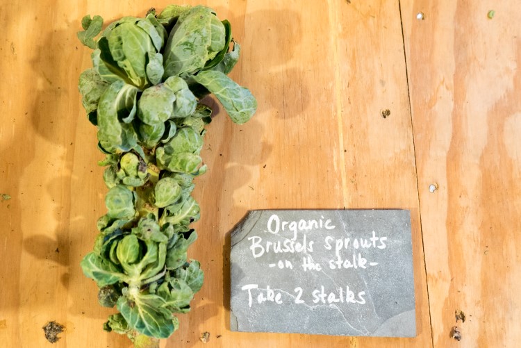 Good Stead Farm brings USDA certified organic crop to Midland region ...